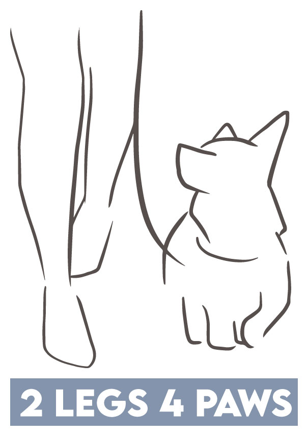 2 Legs 4 Paws – Positive Reinforcement Dog Training